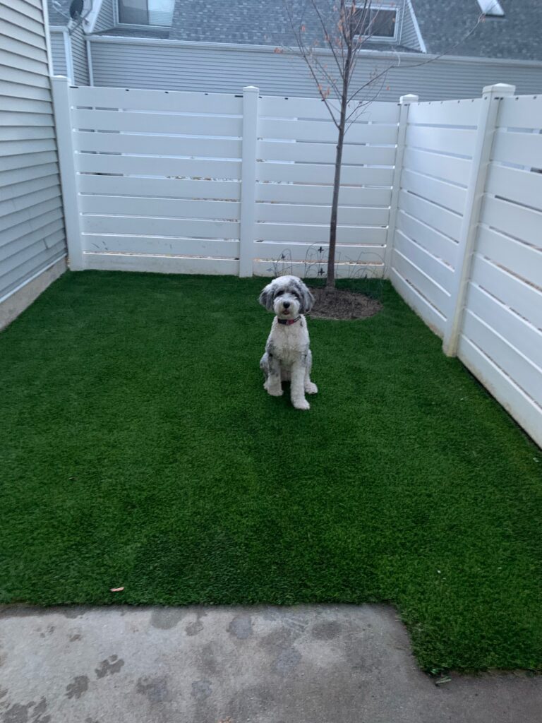 How to Install Artificial Turf: Step-by-Step Guide | Elite Turf Supply